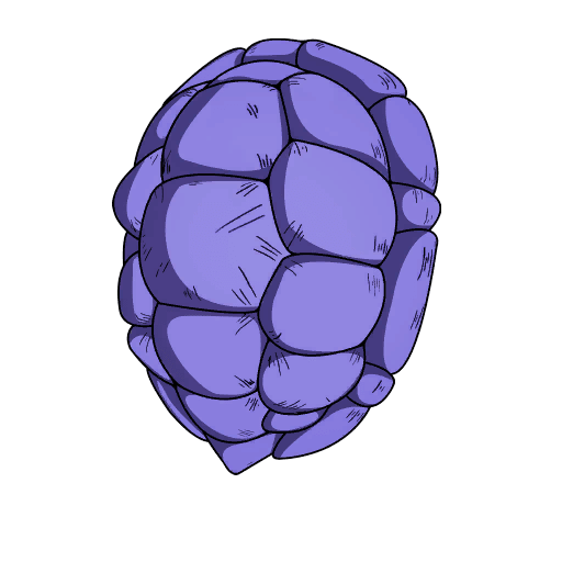 Buy Fortnite Kamesennin's Shell Items Cheaply and Safely - Instant ...